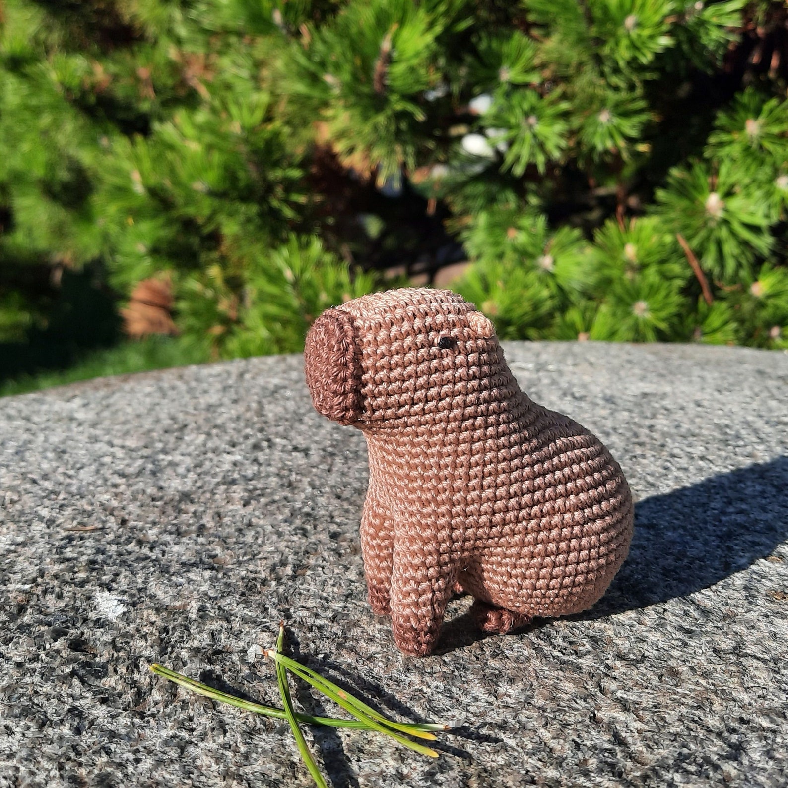 Sitting Capybara Crochet Pattern. Capybara With Top Hat and Bow Tie for ...