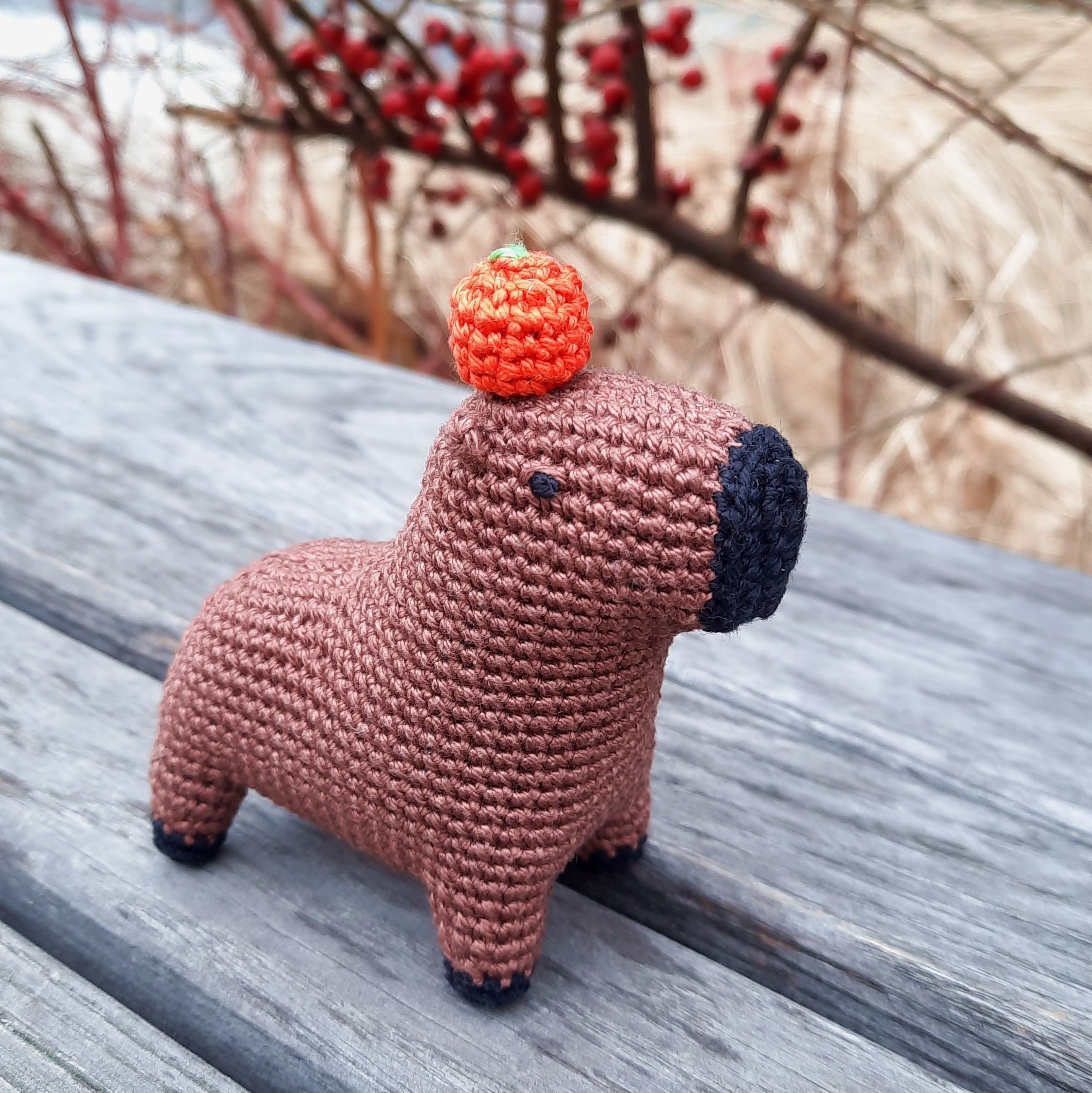 Capybara Crochet Pattern. Capybara Gift for Kids. Rodent - Etsy UK
