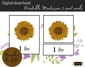 Montessori Number Flashcards - Etsy