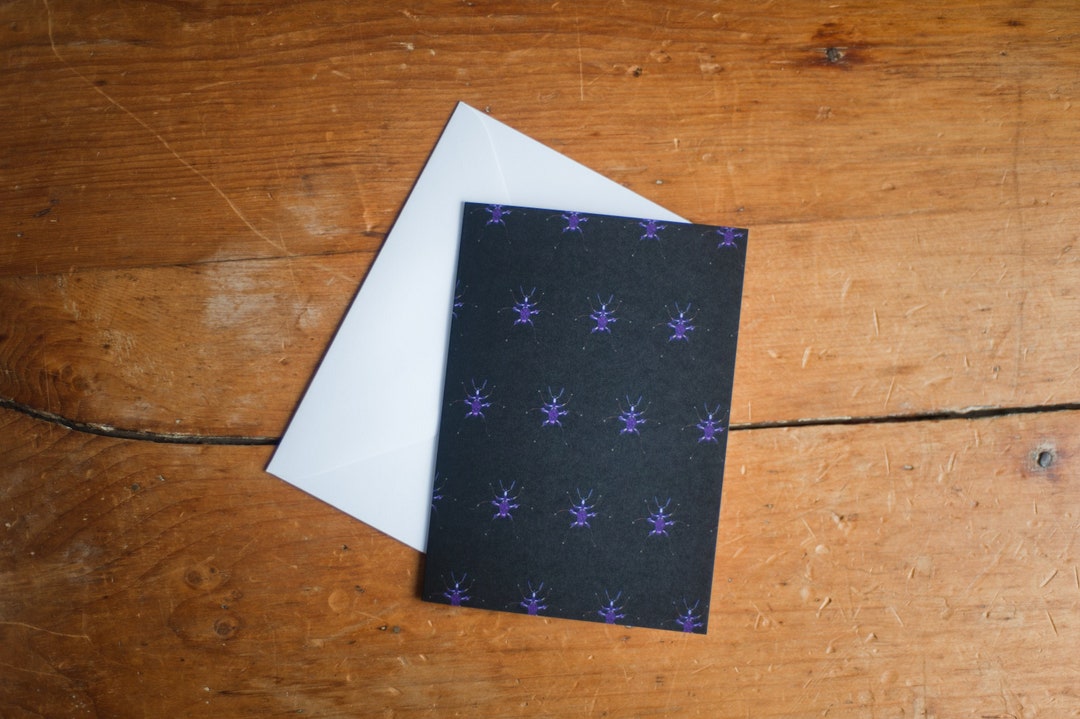 Weevil Card Found Nature Art Quirky Card - Etsy