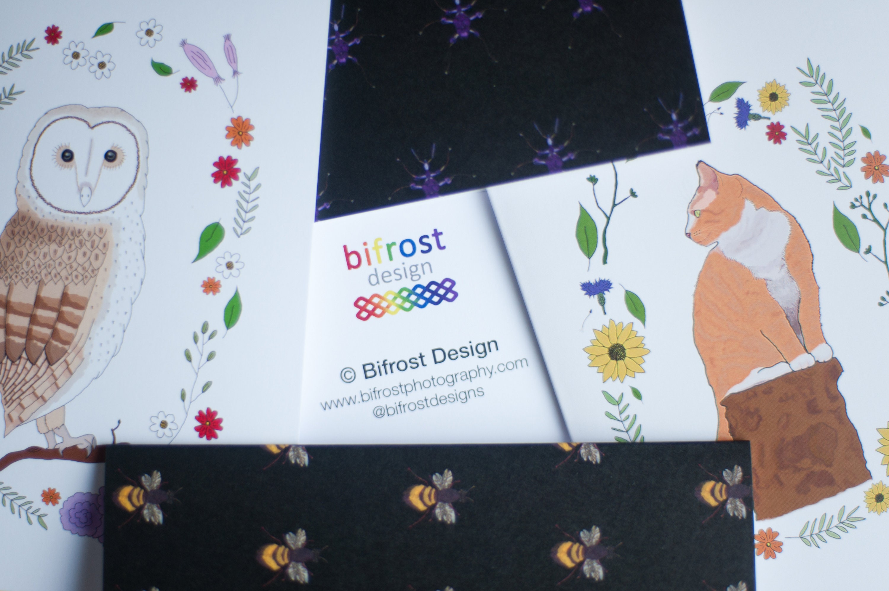 Weevil Card Found Nature Art Quirky Card - Etsy