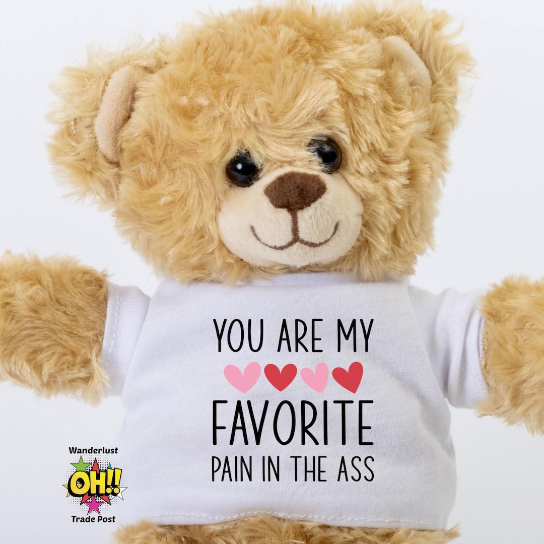 Favorite Pain in the Ass Bear, Valentine Gift, Teddy Bear Gift for ...