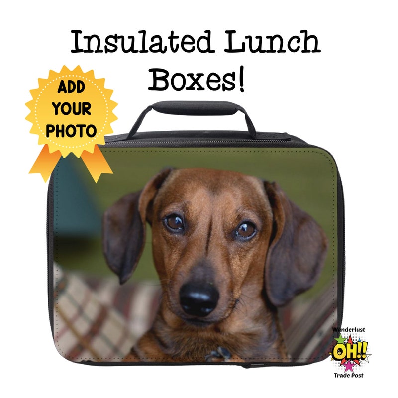 Funny Lunch Bag - Etsy