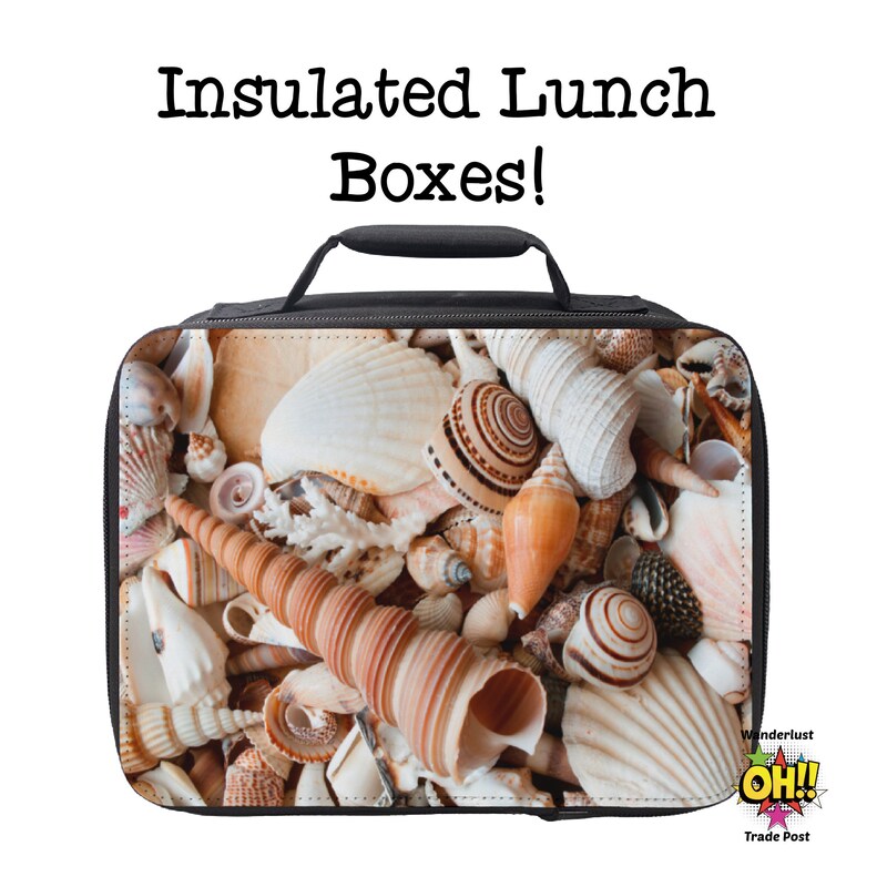 Shell Collector - Etsy