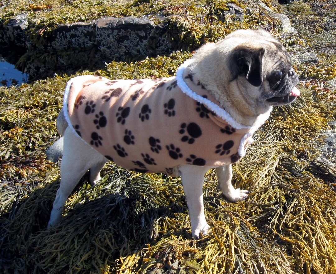Pug Snuggly's Pampered Paws Jacket/winter Coat - Etsy