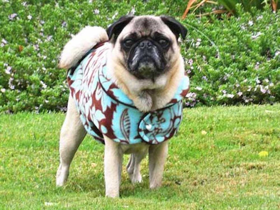 Pug Snuggly's Turquoise Floral Mid-weight Warmth Fleeced Jacket - Etsy