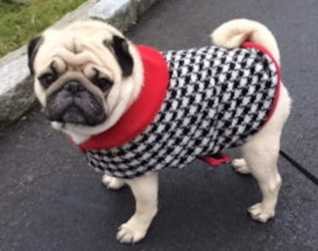 Pug Snuggly's Uptown Pug/warm Winter Woolen Coat - Etsy