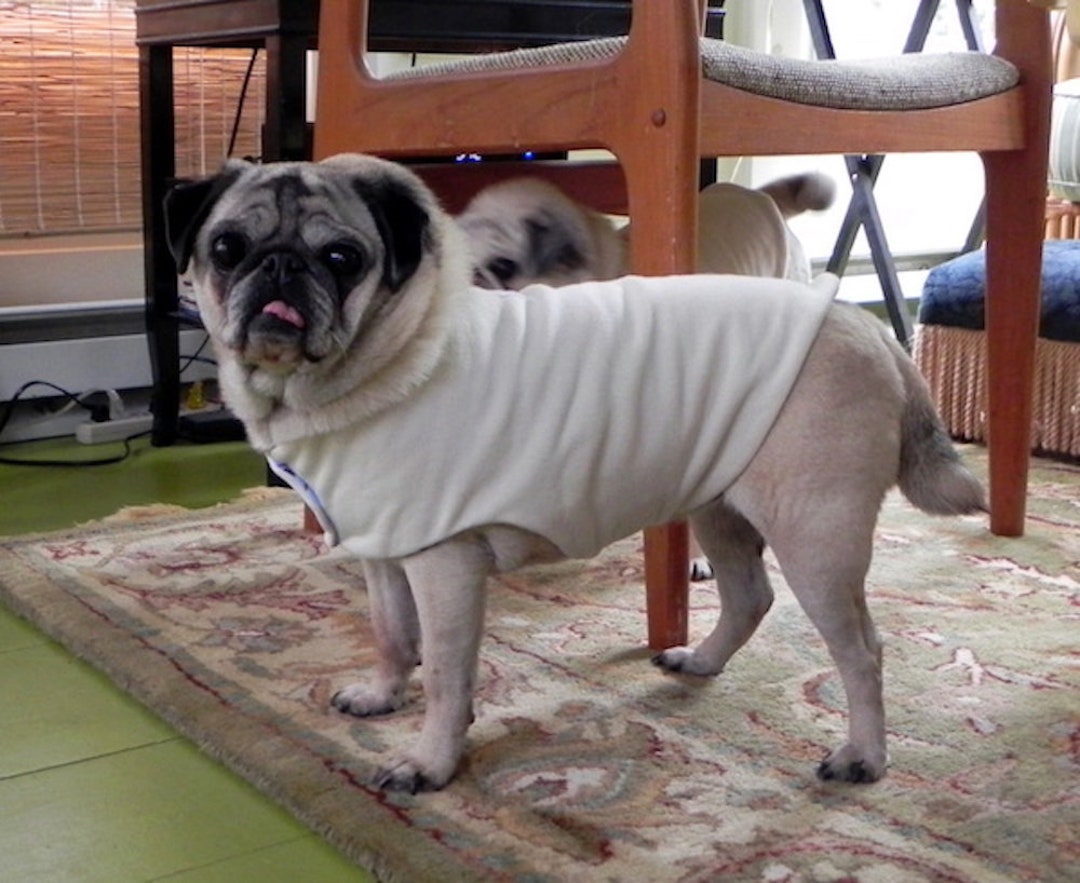 Pug Snuggly's Undergarment/extra Warmth Under Layer - Etsy