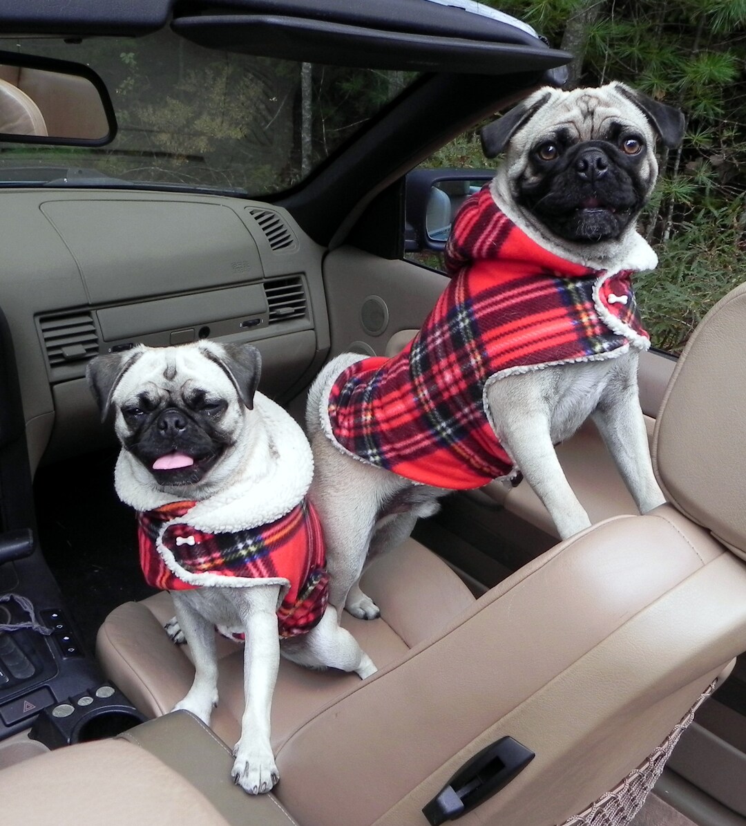 Pug Snuggly's Stewart Plaid Winter Hoodie/winter Coat - Etsy