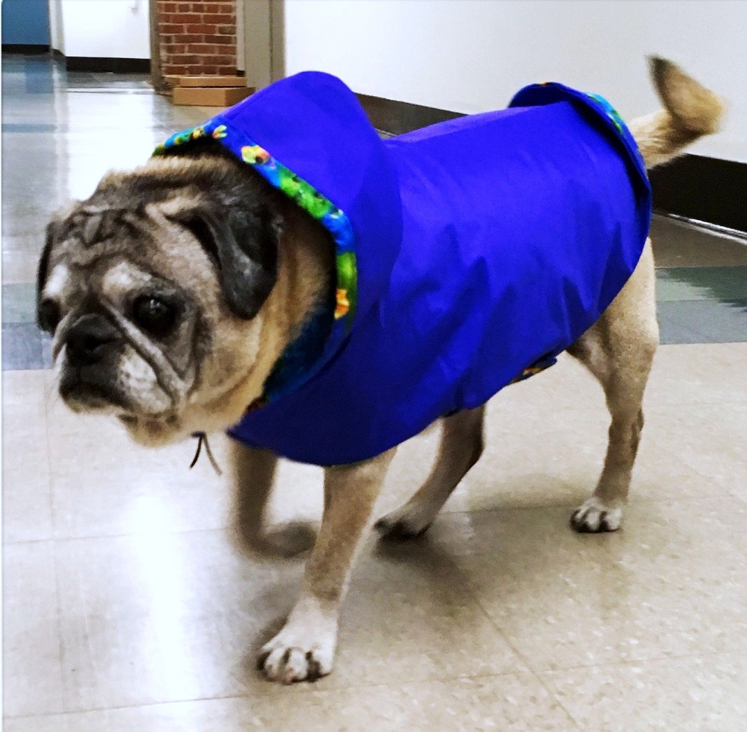 Raincoats for Pugs: Tropical Rain Hoodie Royal Blue - Etsy