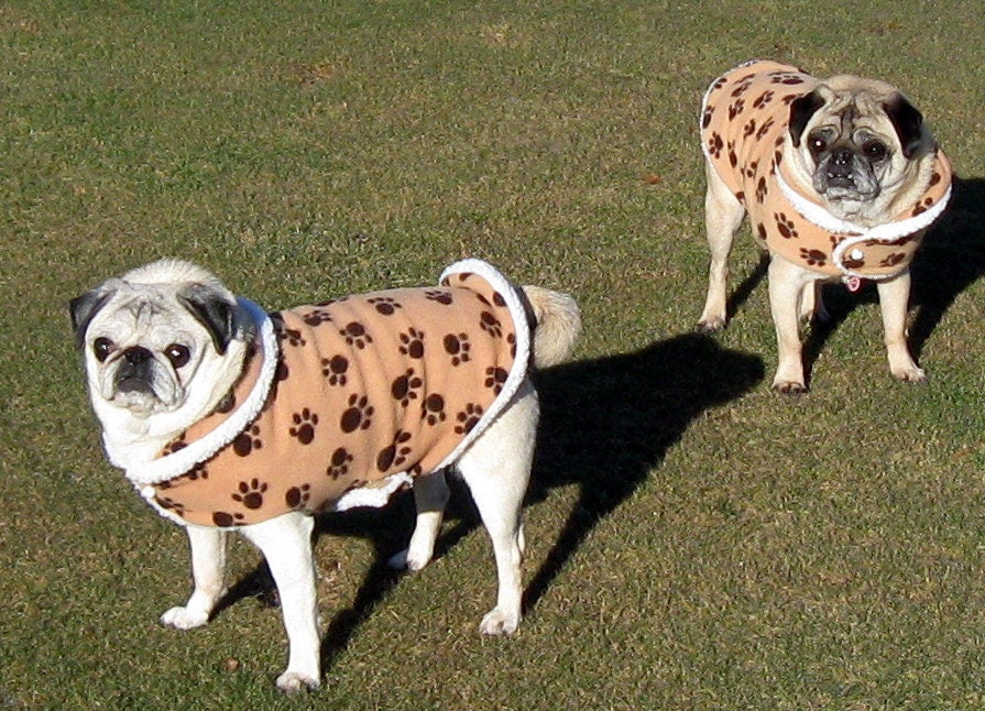Pug Snuggly's Pampered Paws Jacket/winter Coat - Etsy
