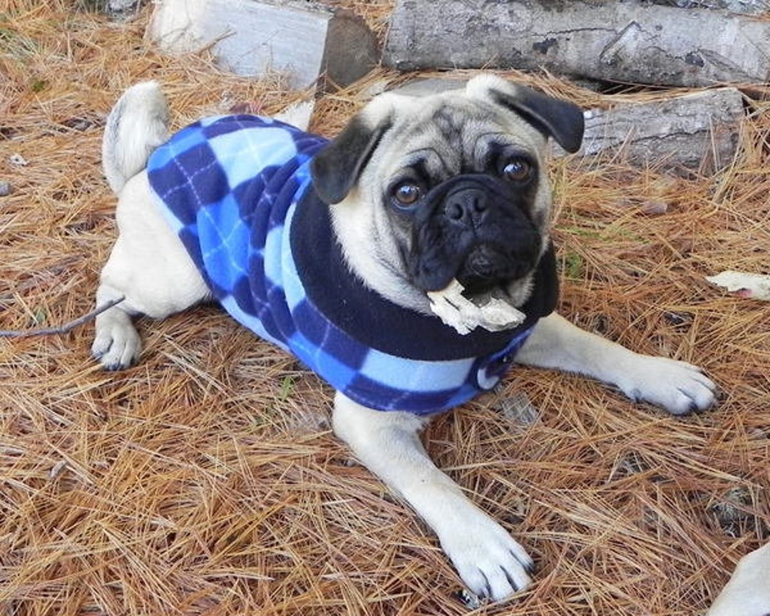 Pug Snugglys Preppy Blue Coatmid Weight Warmth Etsy