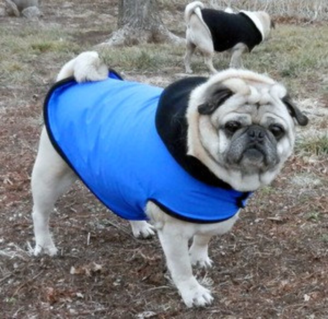 Winter Clothes for Pugs: X-treme Cobalt Blue Ski Jacket - Etsy