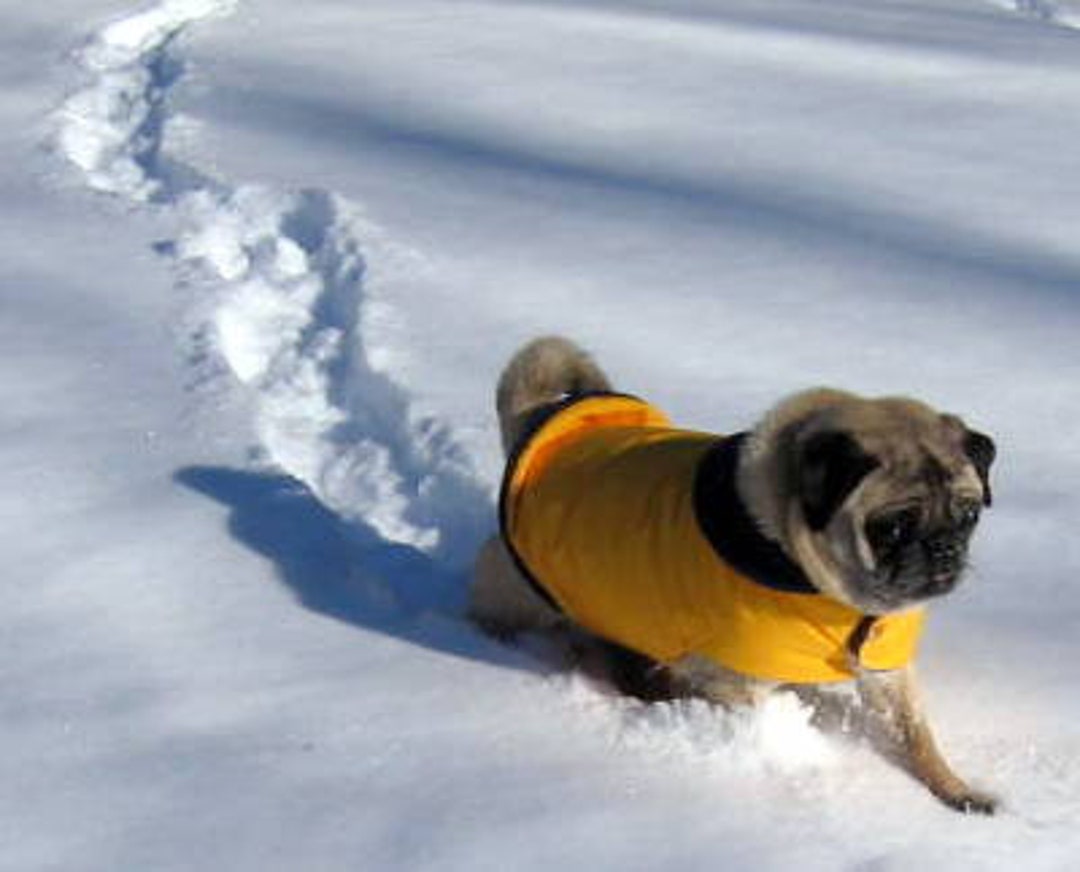 Pug Snuggly's Snow Patrol/winter Coat With Thinsulate - Etsy