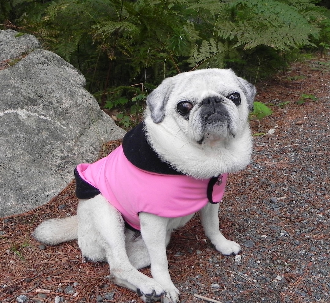 Pug Snuggly's X-treme Ski Jacket/pink Waterproof Breathable Outer - Etsy