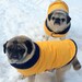 Pug Snuggly's Snow Patrol/winter Coat With Thinsulate - Etsy