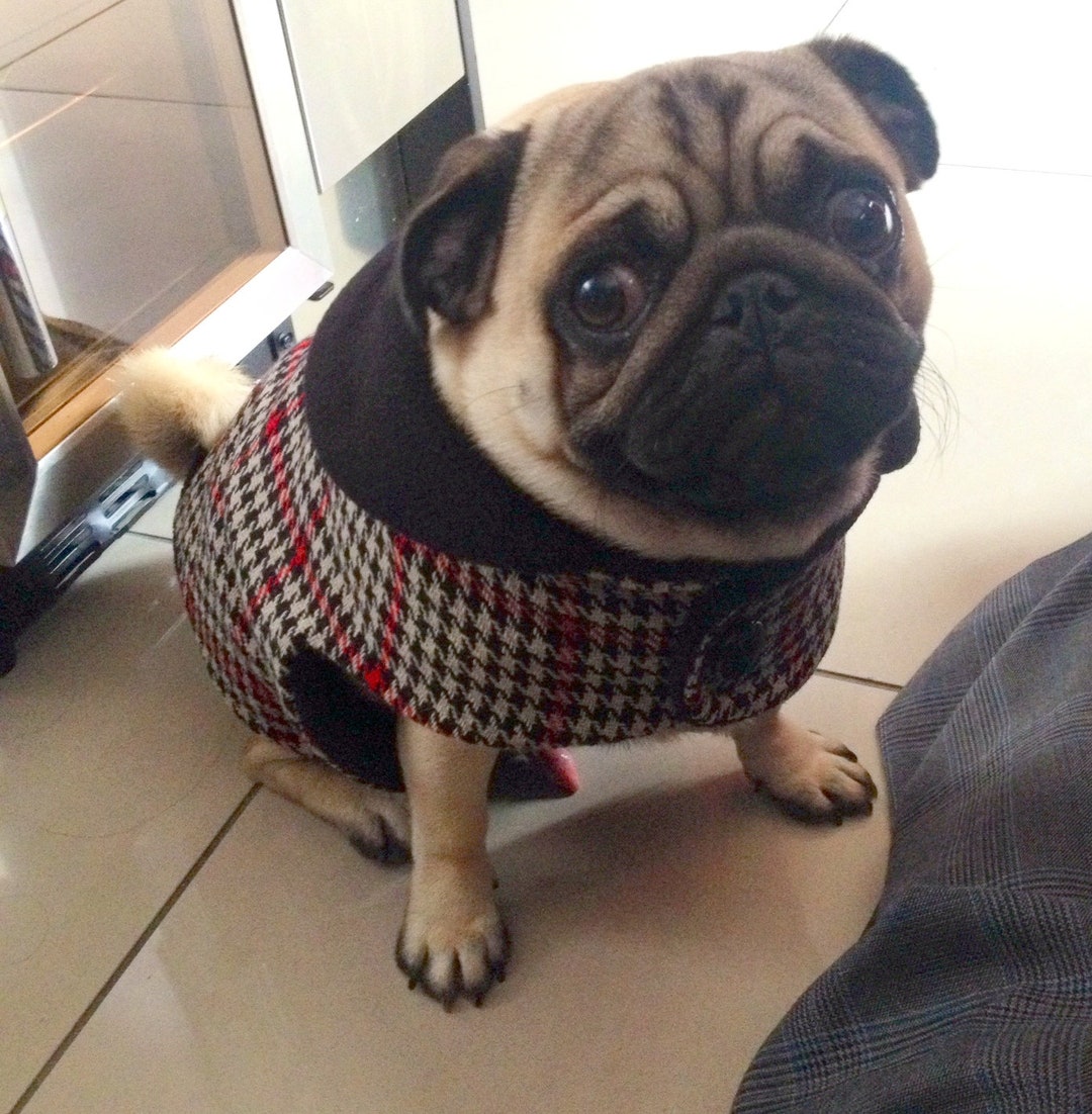 Pug Snuggly's Lads & Lassies Woolen Winter Coat - Etsy