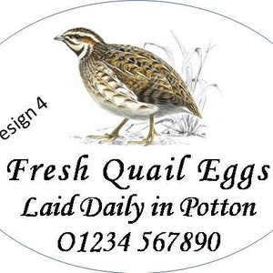 10 X Stylish Oval Quail Egg Box Labels 55x75mm Customised. Select Your ...