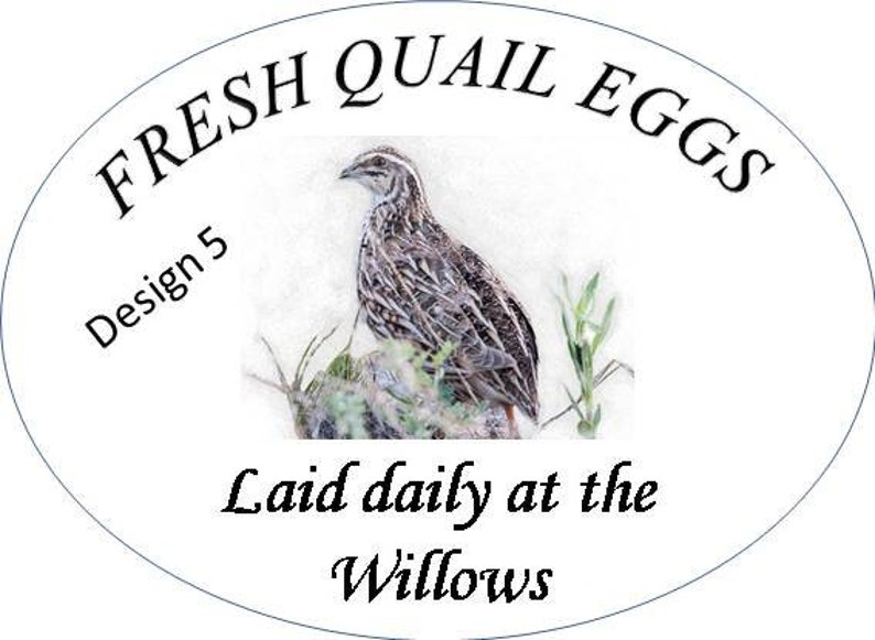 10 X Stylish Oval Quail Egg Box Labels 55x75mm Customised. - Etsy UK