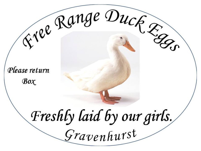 10 Oval Customised Duck Egg Box Labels Medium 75mm X 55mm - Etsy UK