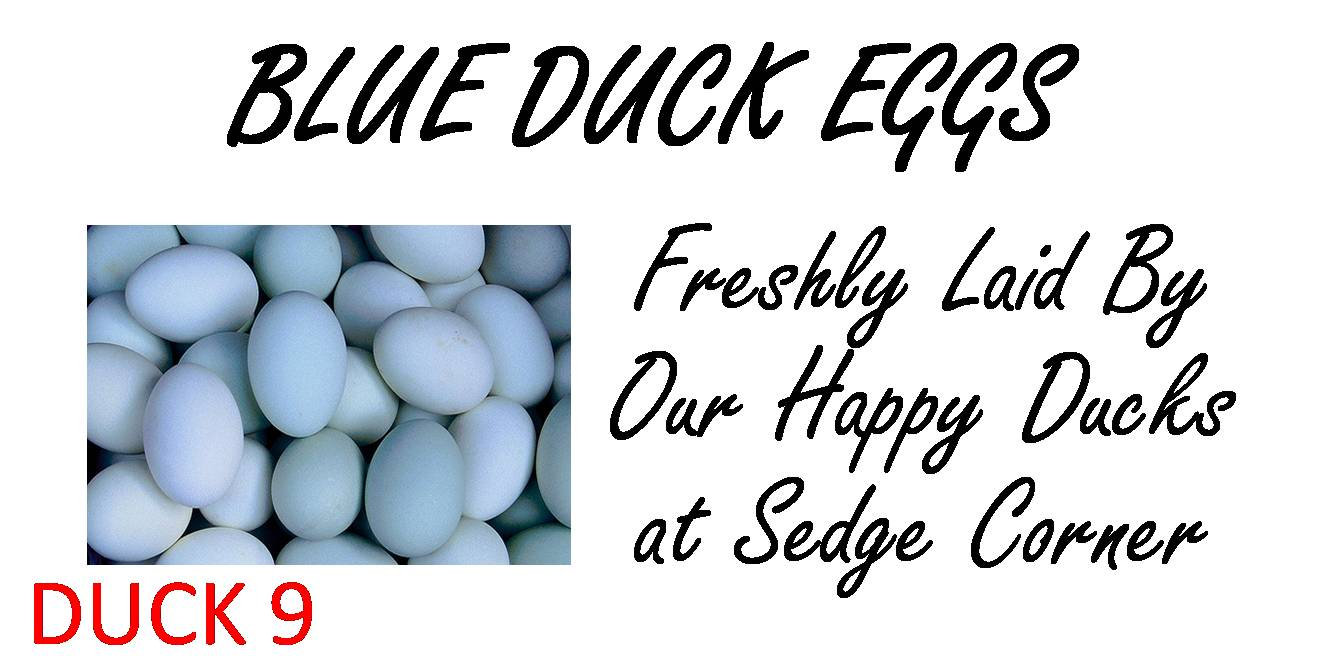 24 X Personalised Duck Egg Box Labels Small 70mm X 35mm - Etsy UK