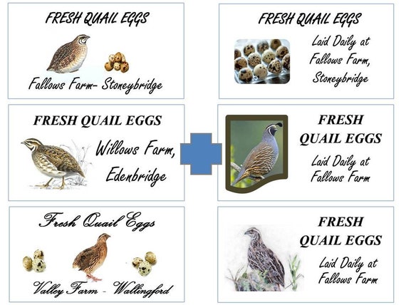 21 X Small Personalised Quail Egg Box Labels 70mm X 38mm - Etsy