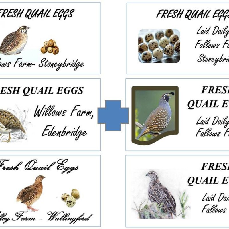 Quail Stickers - Etsy
