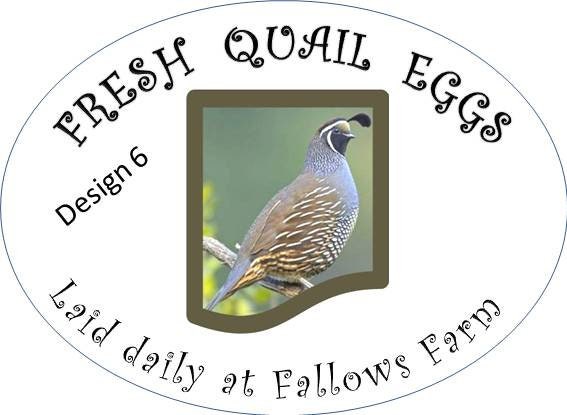 10 X Stylish Oval Quail Egg Box Labels 55x75mm Customised. - Etsy UK