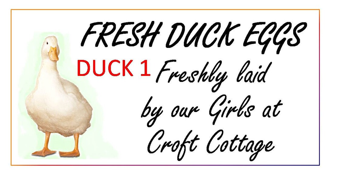 24 X Personalised Duck Egg Box Labels Small 70mm X 35mm - Etsy UK