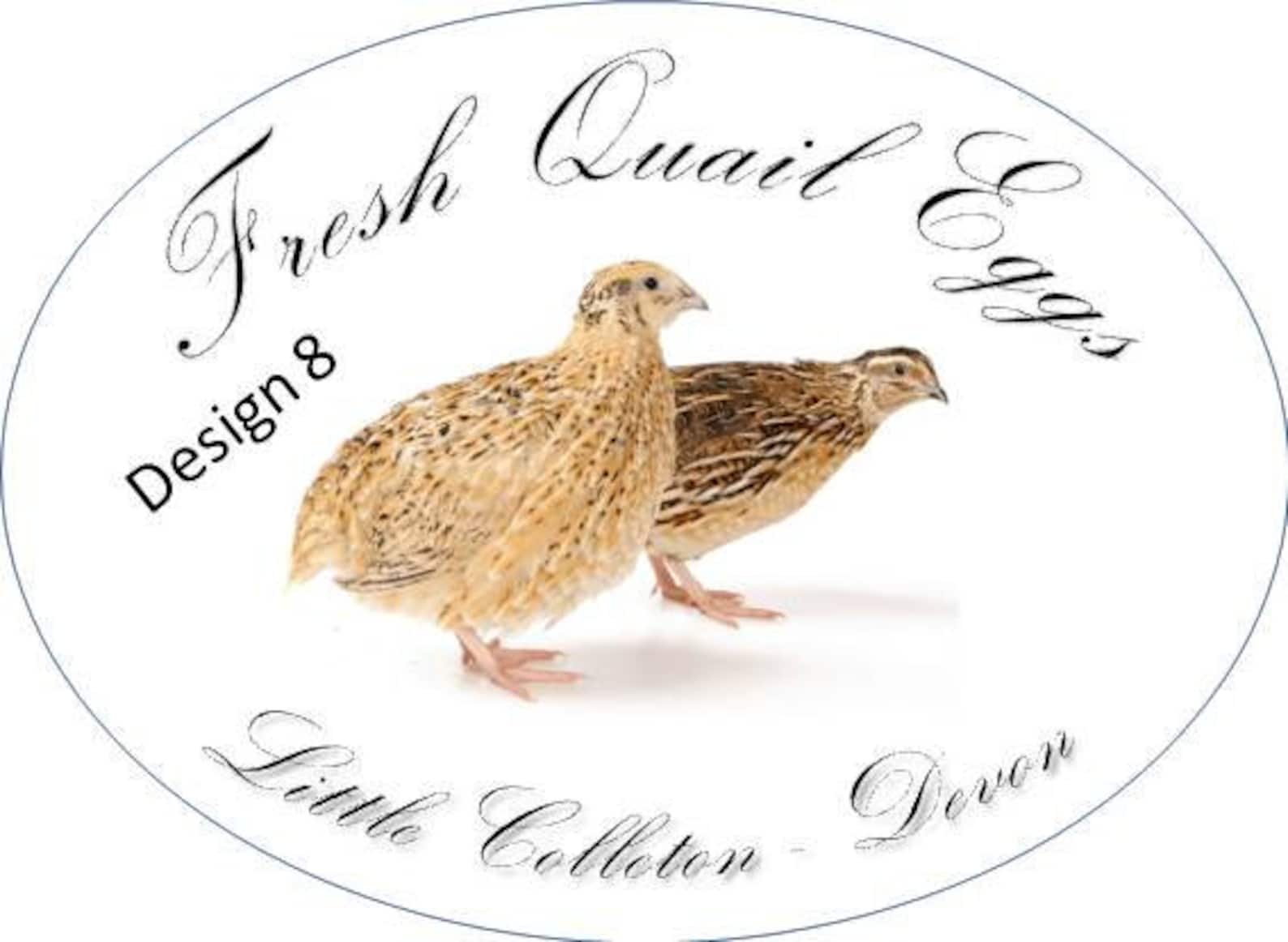10 X Stylish Oval Quail Egg Box Labels 55x75mm Customised. - Etsy