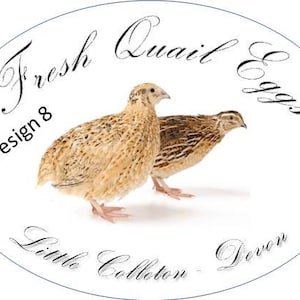 10 X Stylish Oval Quail Egg Box Labels 55x75mm Customised. Select Your ...