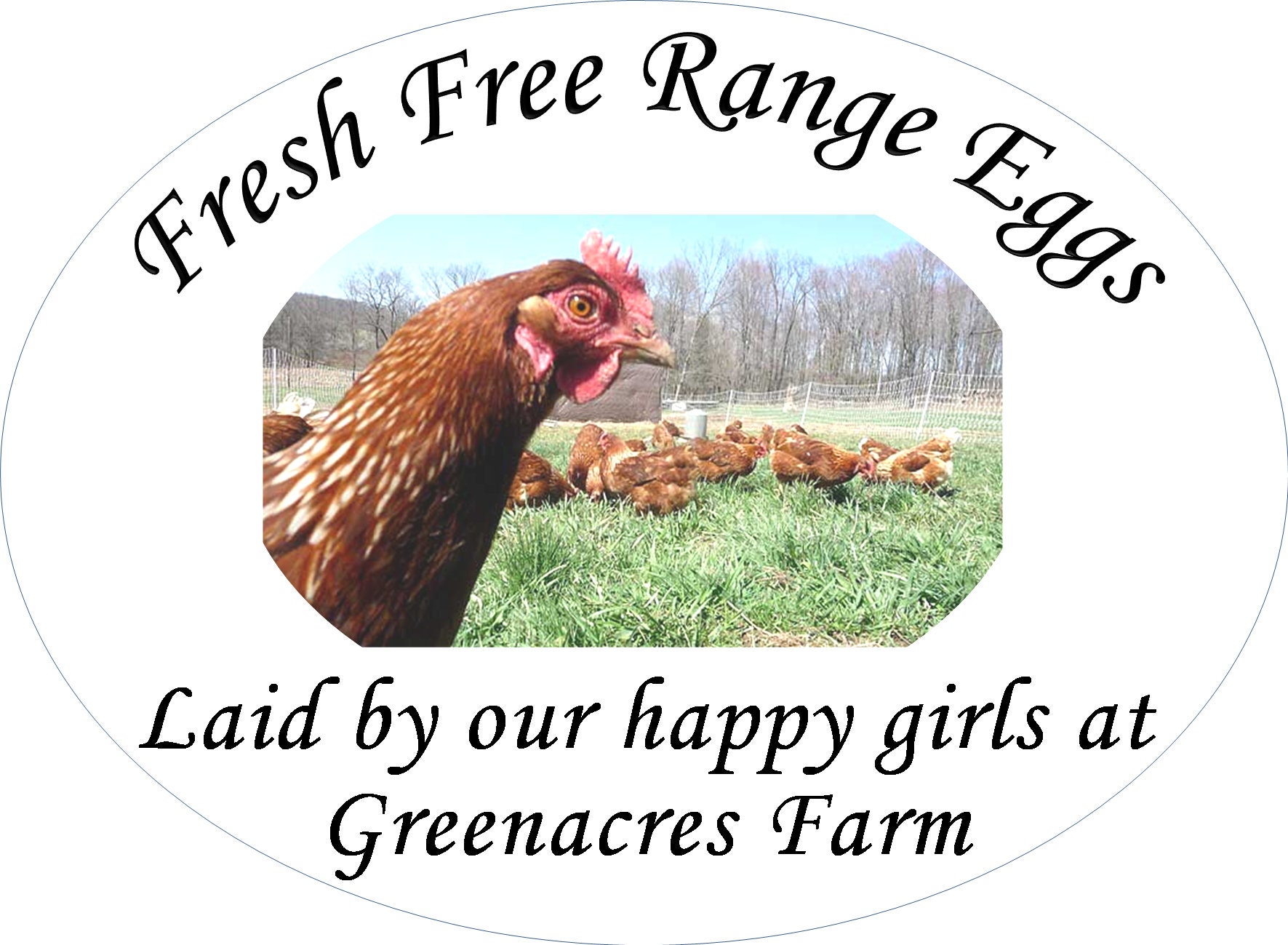 10 Oval Custom Bespoke Chicken Egg Box Labels Medium 75mm X - Etsy UK
