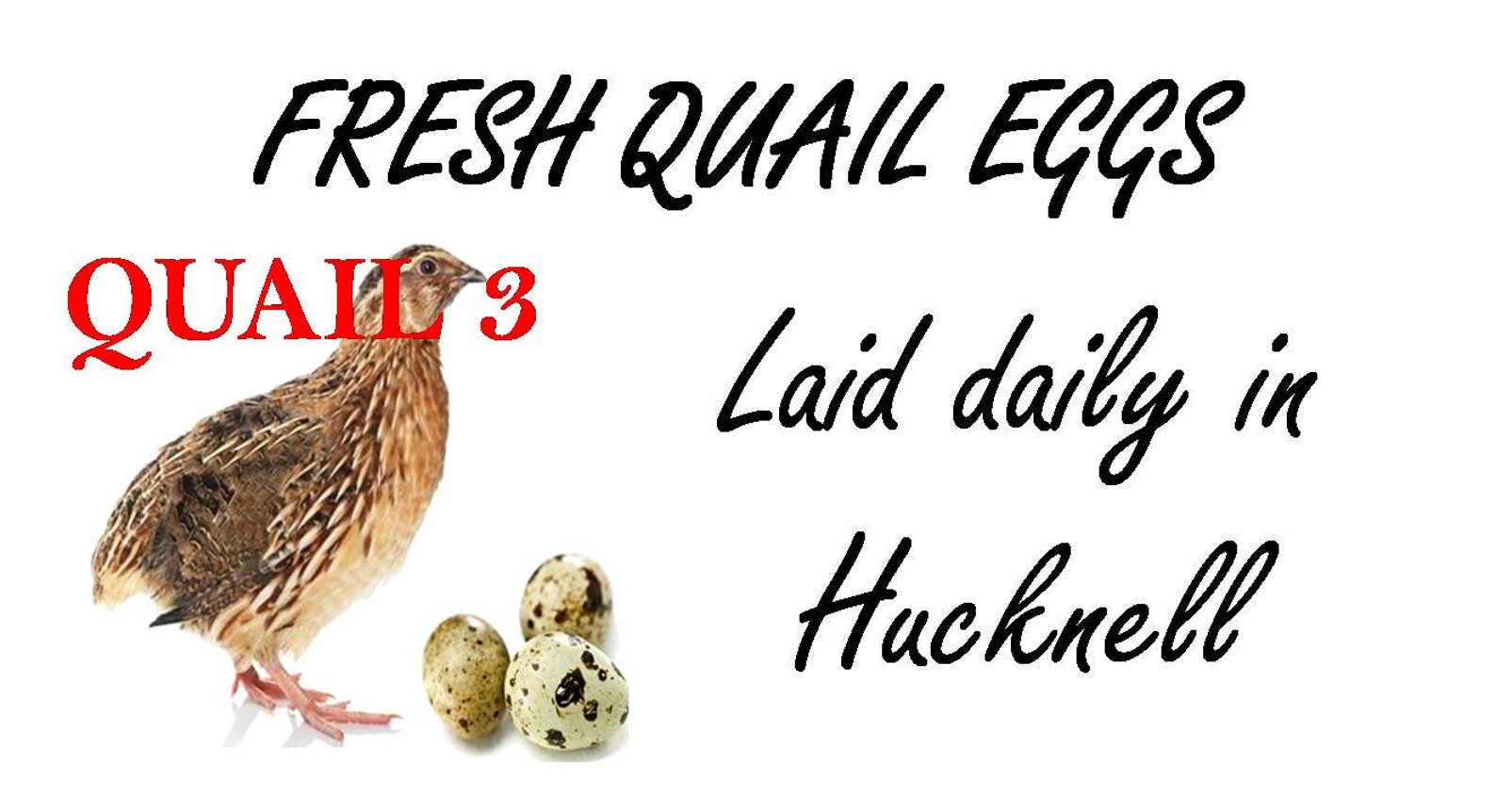 21 X Small Personalised Quail Egg Box Labels 70mm X 38mm - Etsy