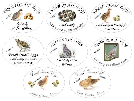 10 X Stylish Oval Quail Egg Box Labels 55x75mm Customised. - Etsy Australia