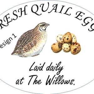 10 X Stylish Oval Quail Egg Box Labels 55x75mm Customised. Select Your ...
