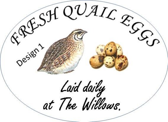 Quail Egg Clipart