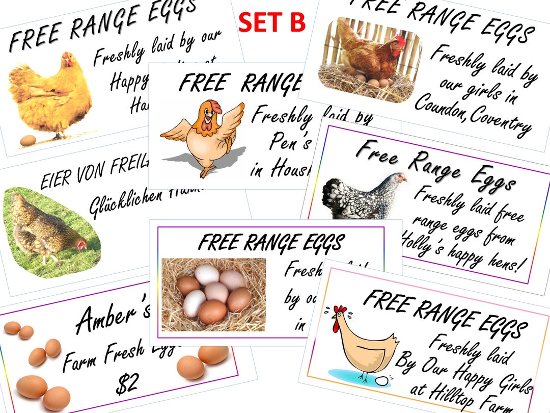 24 X Small Personalised Chicken Egg Box Labels 70mm X 35mm, Choose Your ...