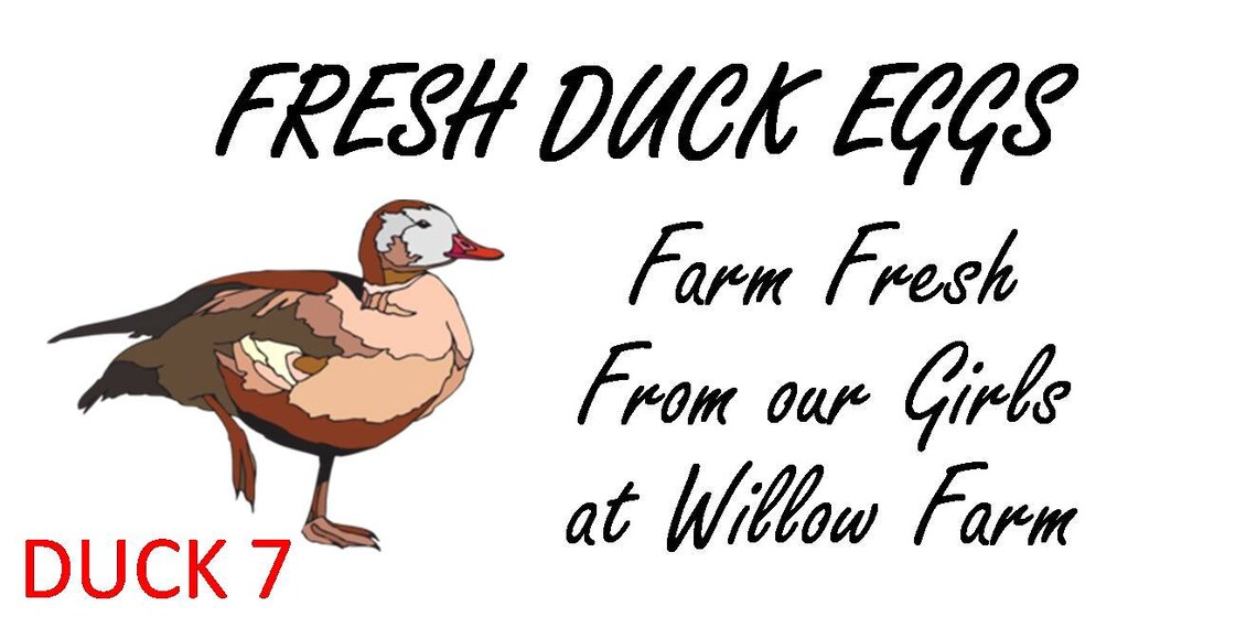 24 X Personalised Duck Egg Box Labels Small 70mm X 35mm - Etsy UK