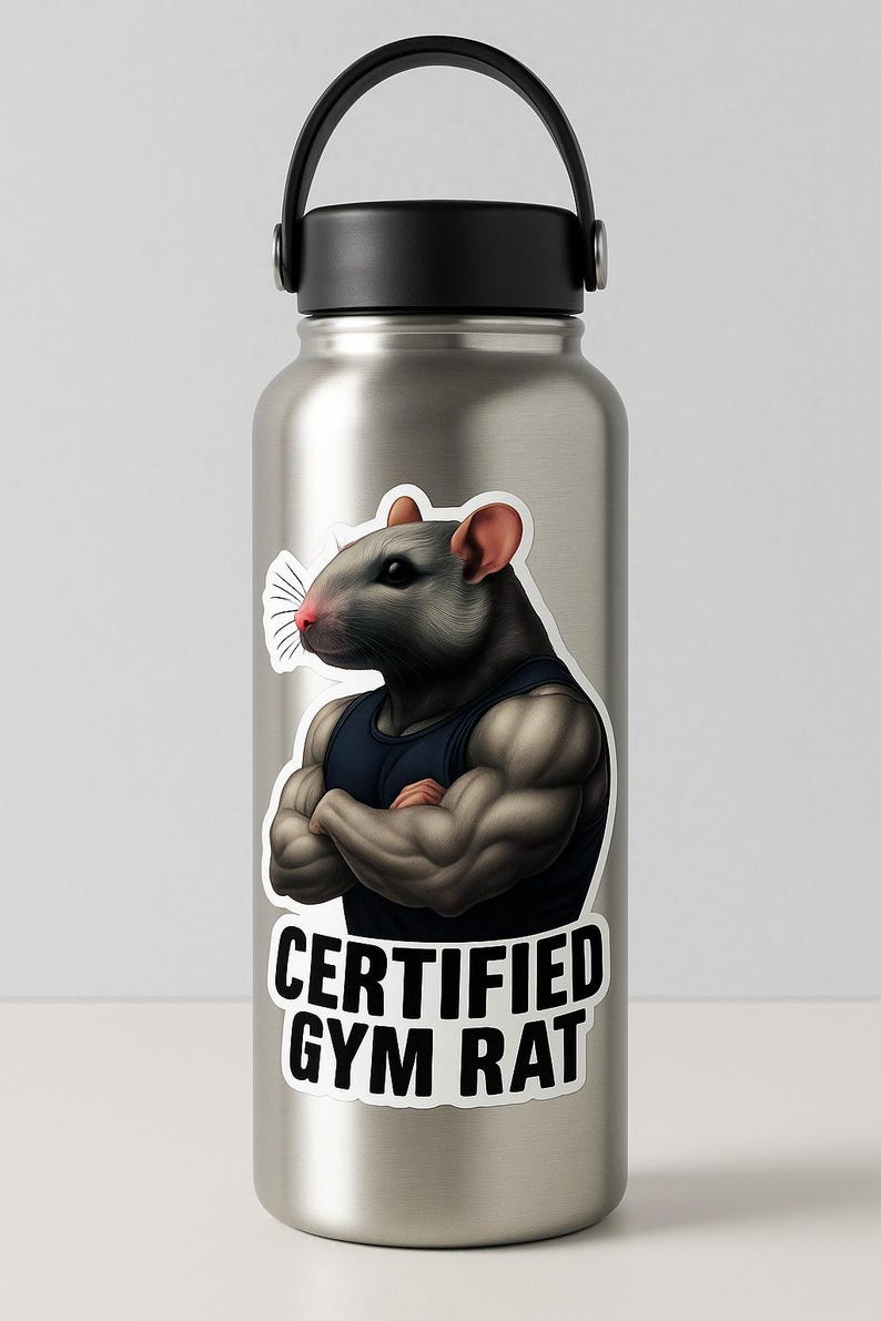 Certified Gym Rat – Funny Fitness PNG Download | Buff Rat Clipart | Gym ...