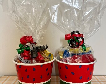 Birthday Party Favor Pre Filled Party Favors. Pre Made Goody - Etsy