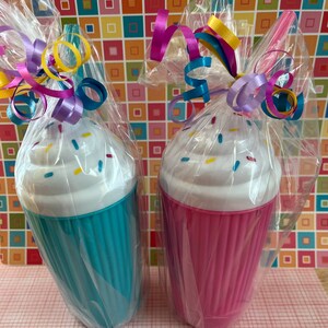 Birthday Party Favor – Pre-filled Goody Bags, Kids Birthday Treats ...