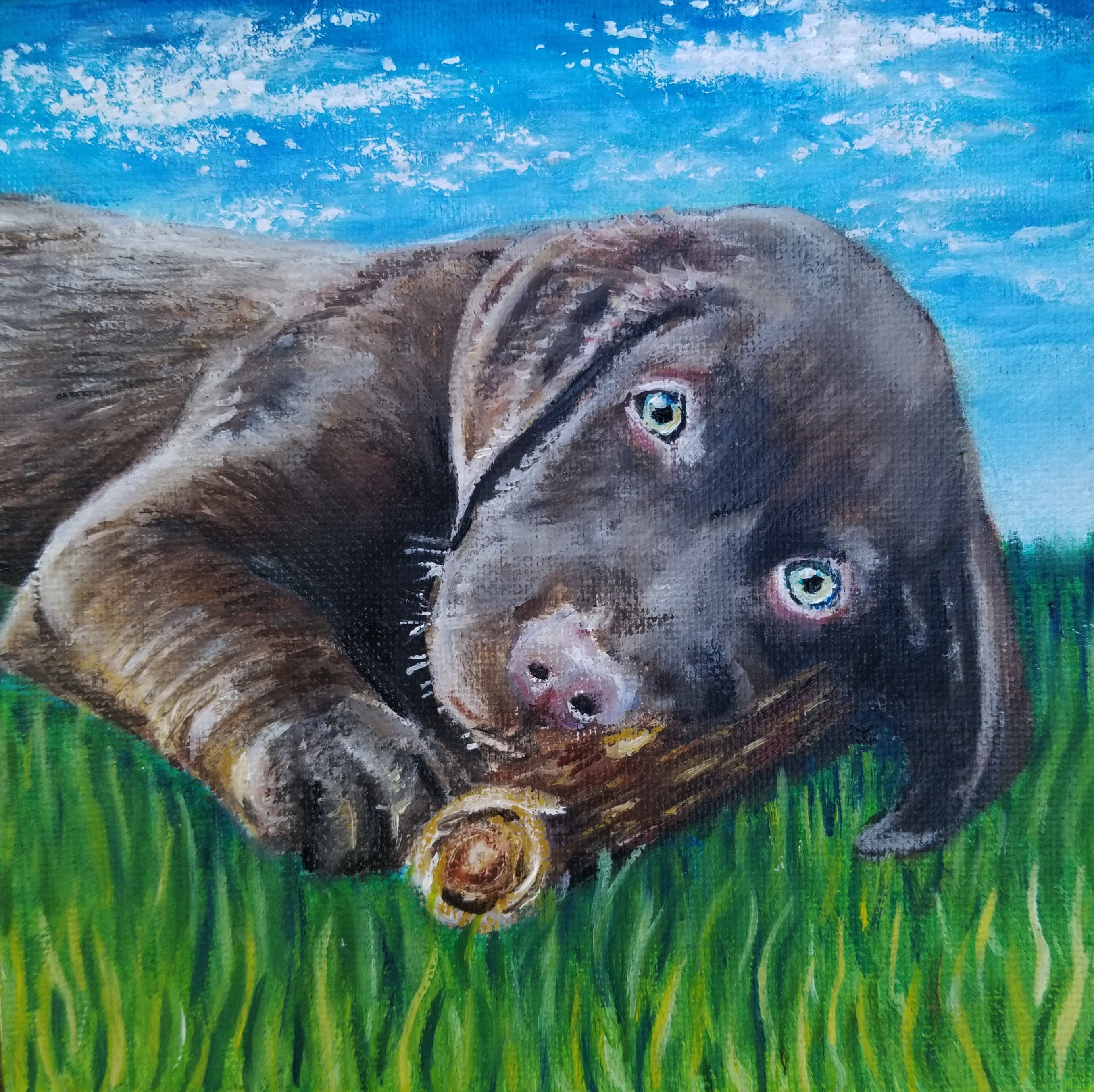 Custom Pet Portrait Custom Dog and Cat Portrait Custom Oil | Etsy