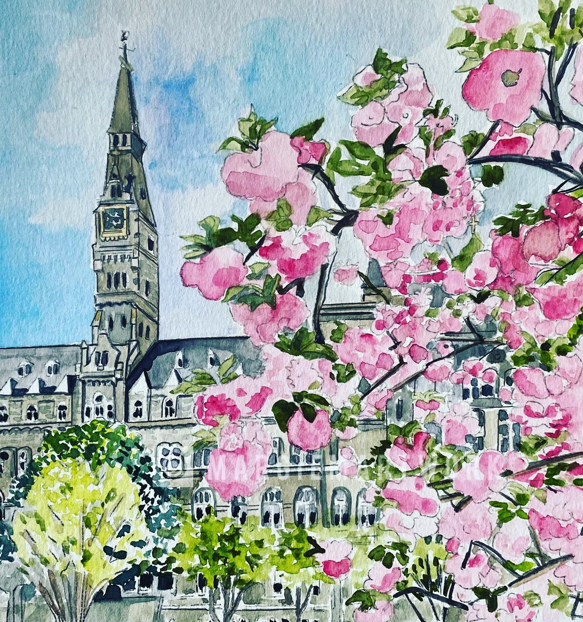 Washington DC Cherry Blossom Georgetown University Original Giclee ...