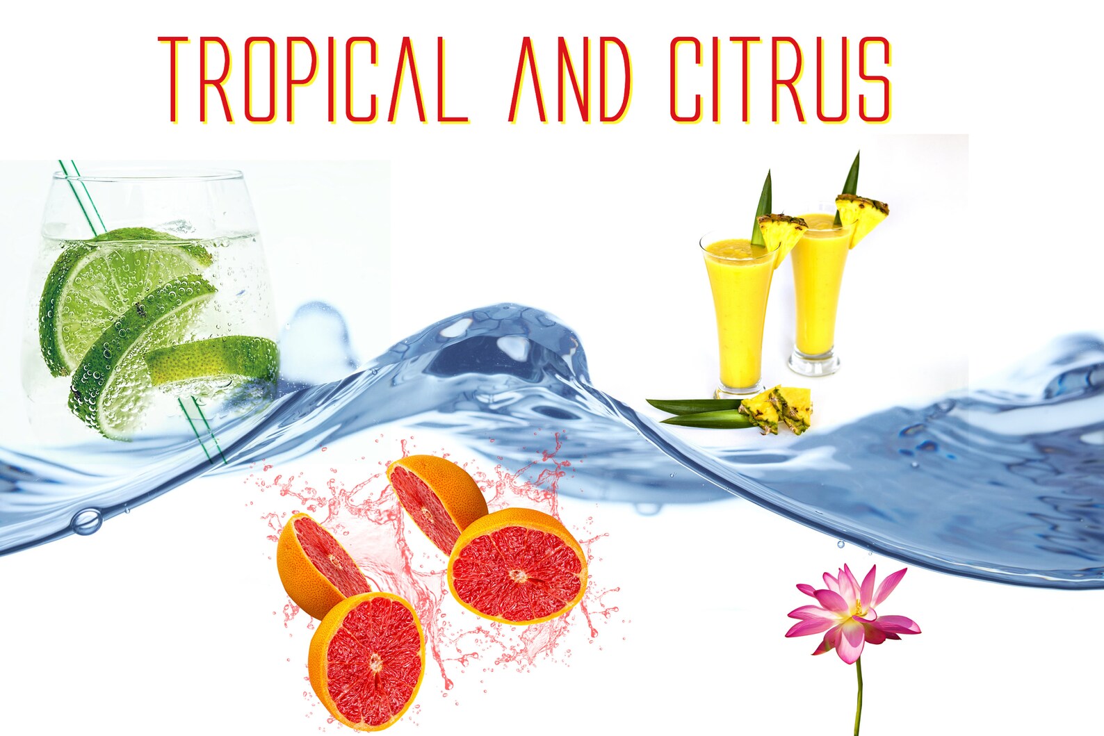 TOP Note Bases for Creating Your Own Fragrance and Perfume at Home FULL ...