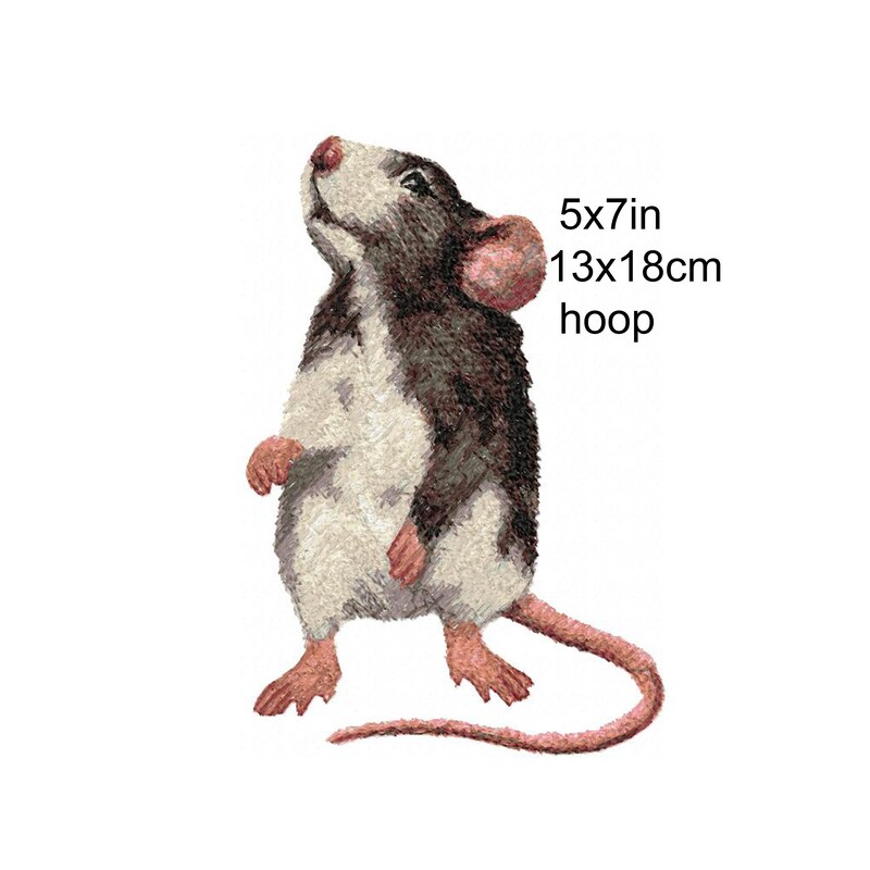 Rat Embroidery - Etsy