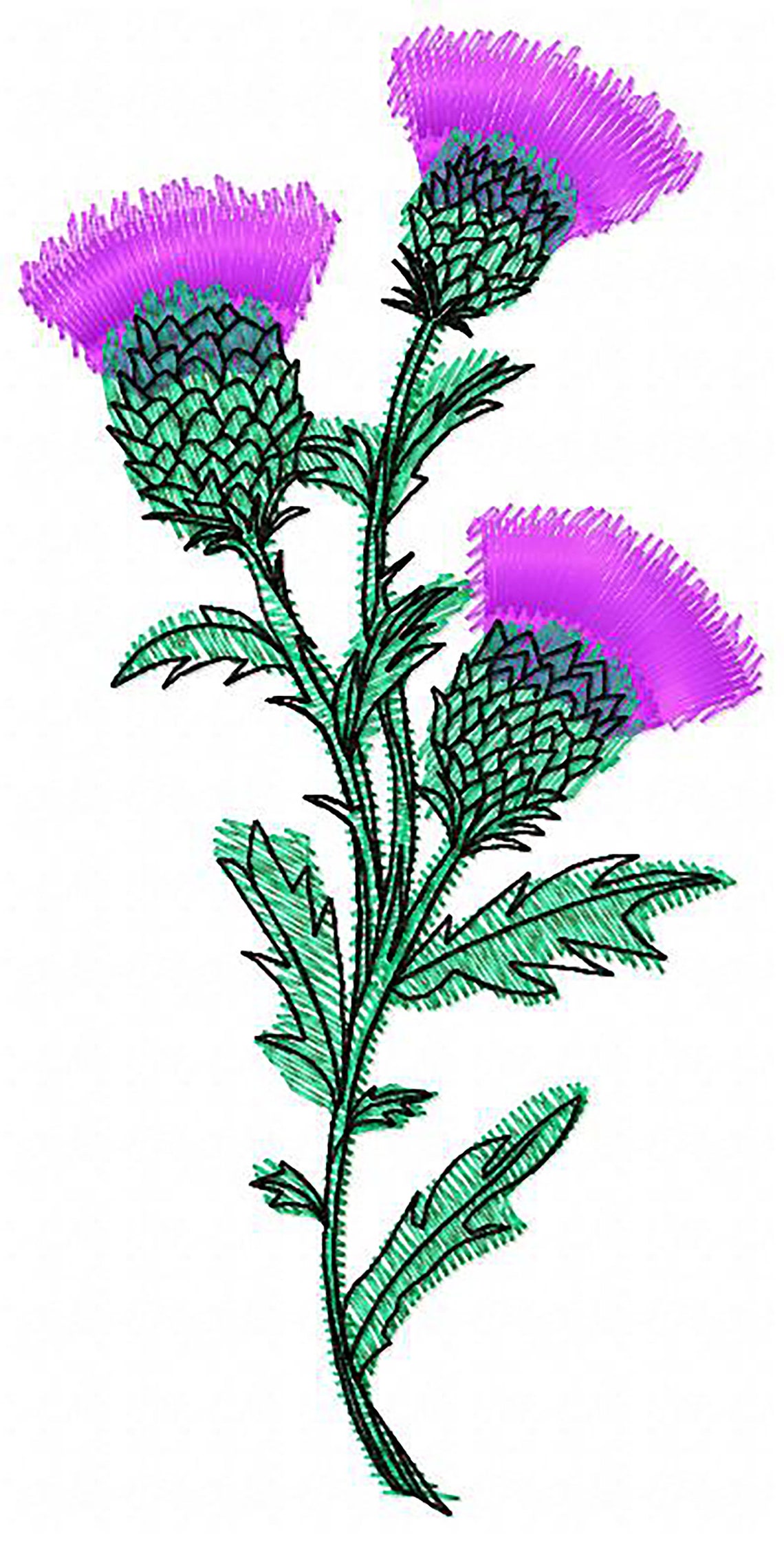 Fringe Thistle Flower Machine Embroidery Design (digital Design) - Etsy