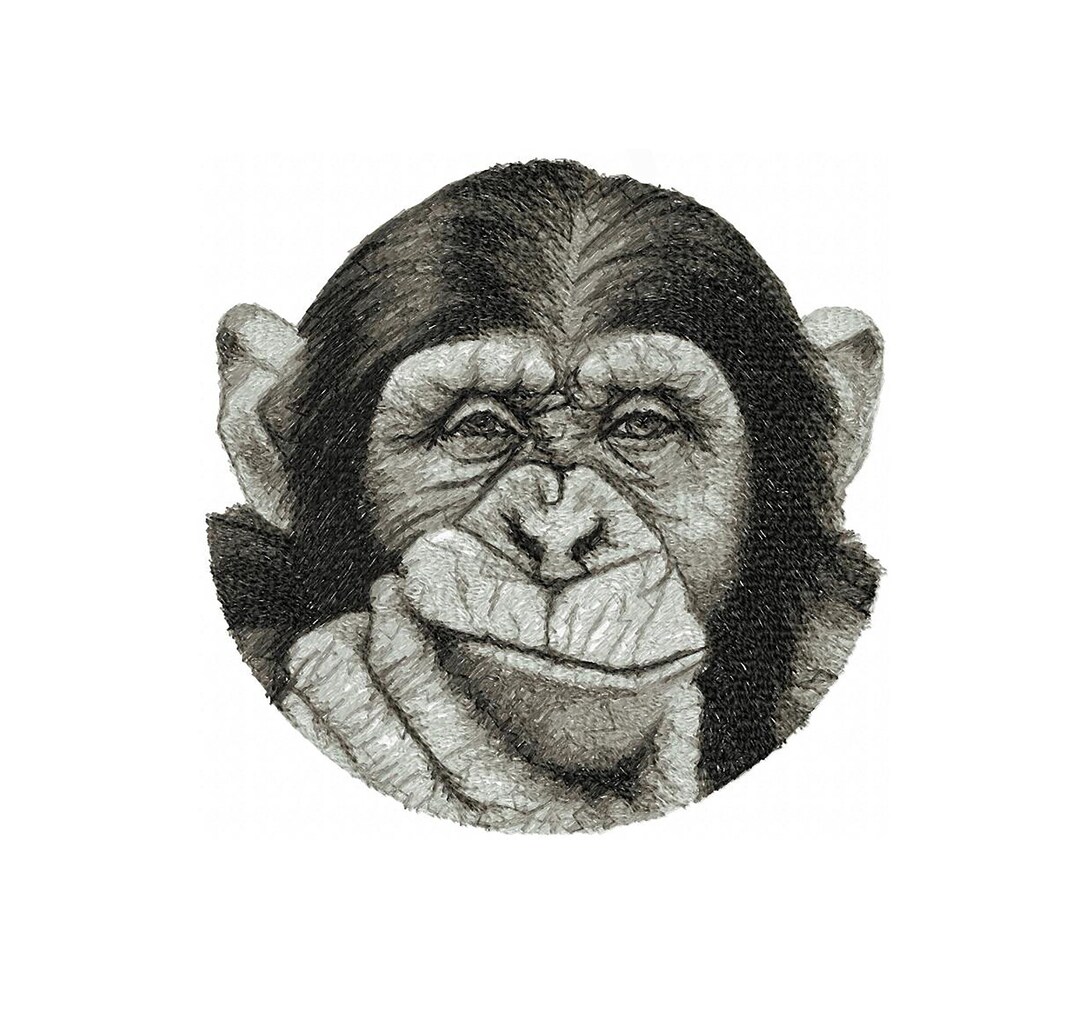 Machine Embroidery Design Monkey Digital Designs - Etsy