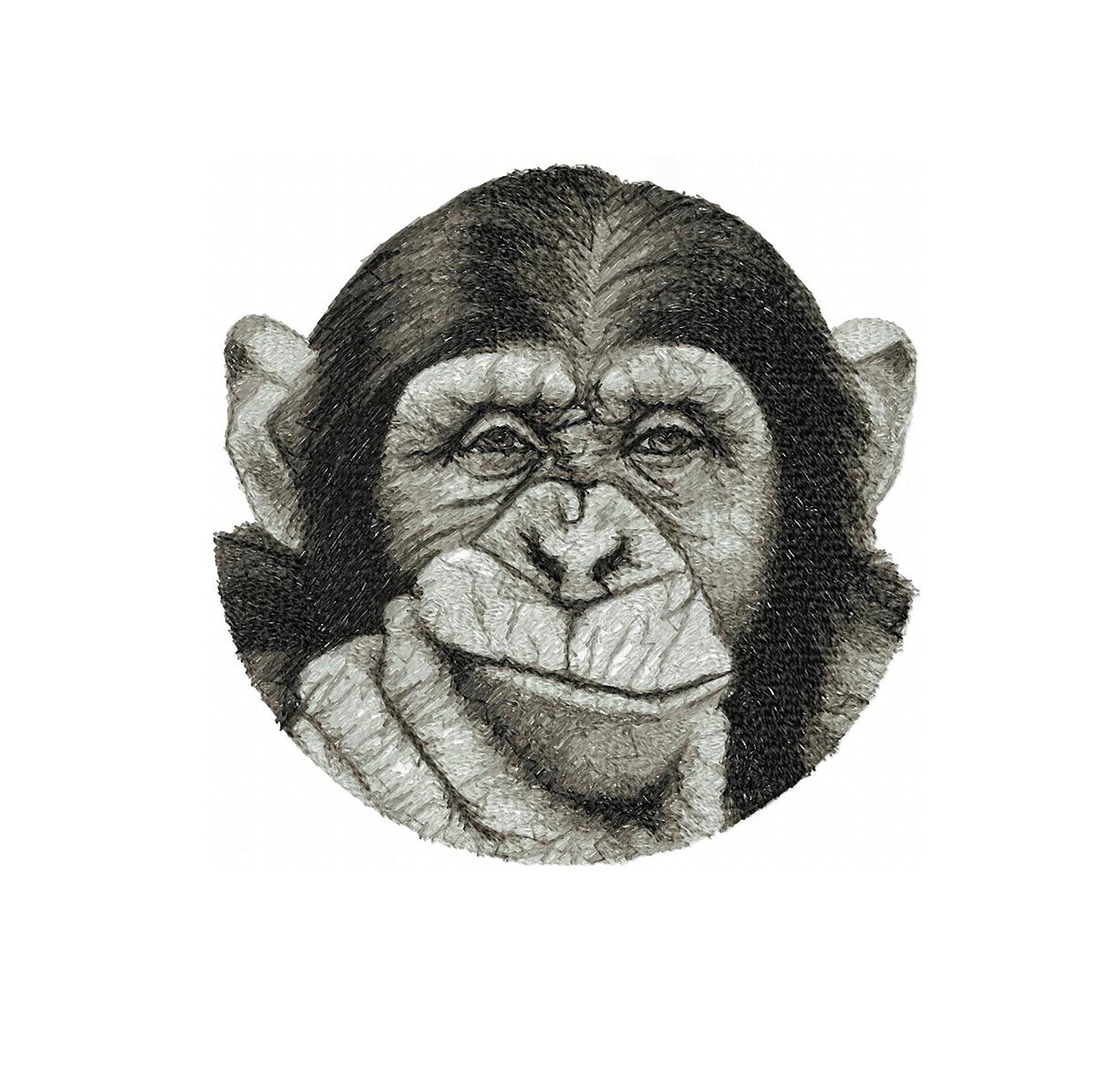 Machine Embroidery Design Monkey Digital Designs - Etsy