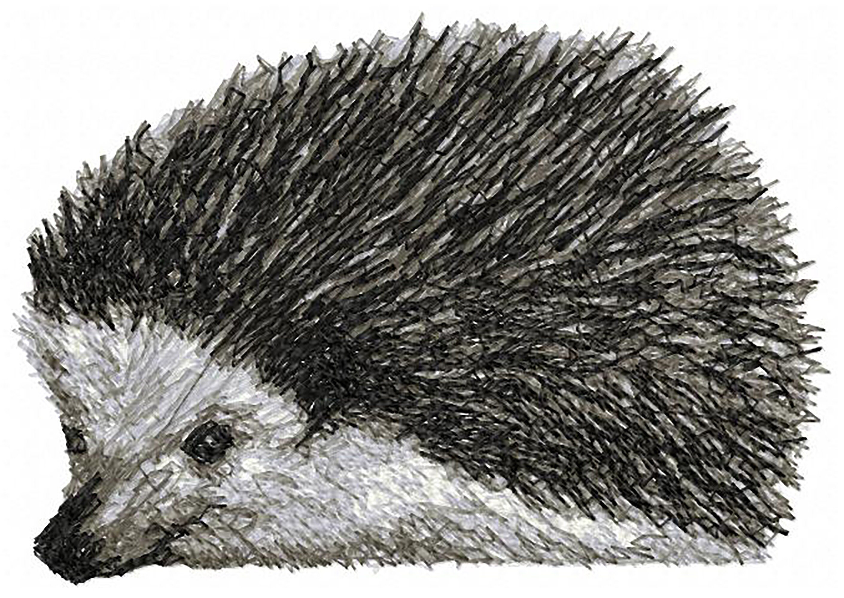 Hedgehog Embroidery Photostitch Hedgehog Machine Embroidery Design - Etsy