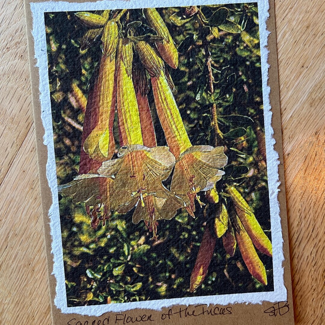 Cantua Flower Greeting Card, Original Photo on Handmade Paper - Etsy